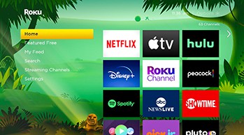 How do I change the theme pack to adjust the look of the Roku ...